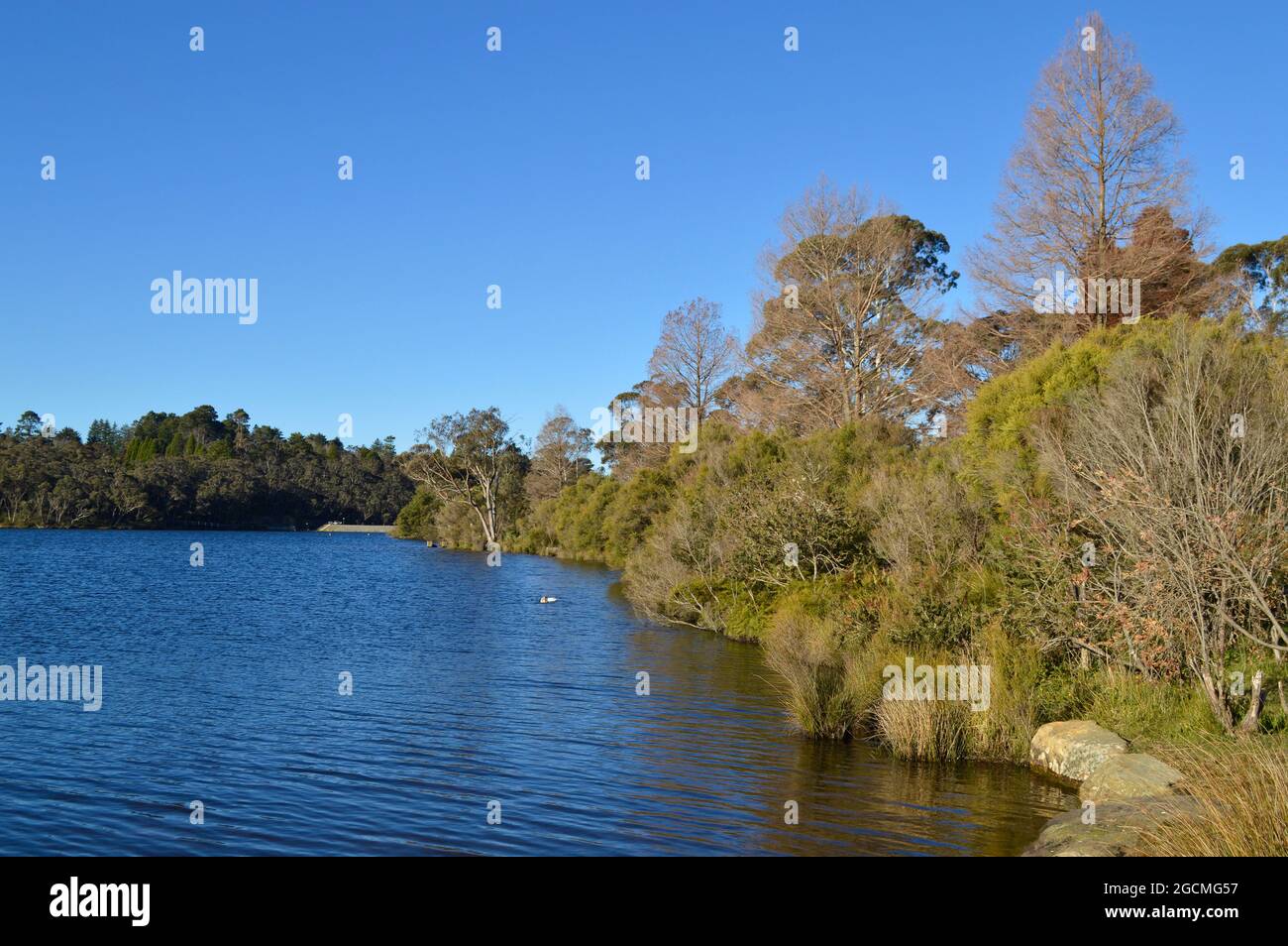Wentworth falls lake park hi-res stock photography and images - Alamy