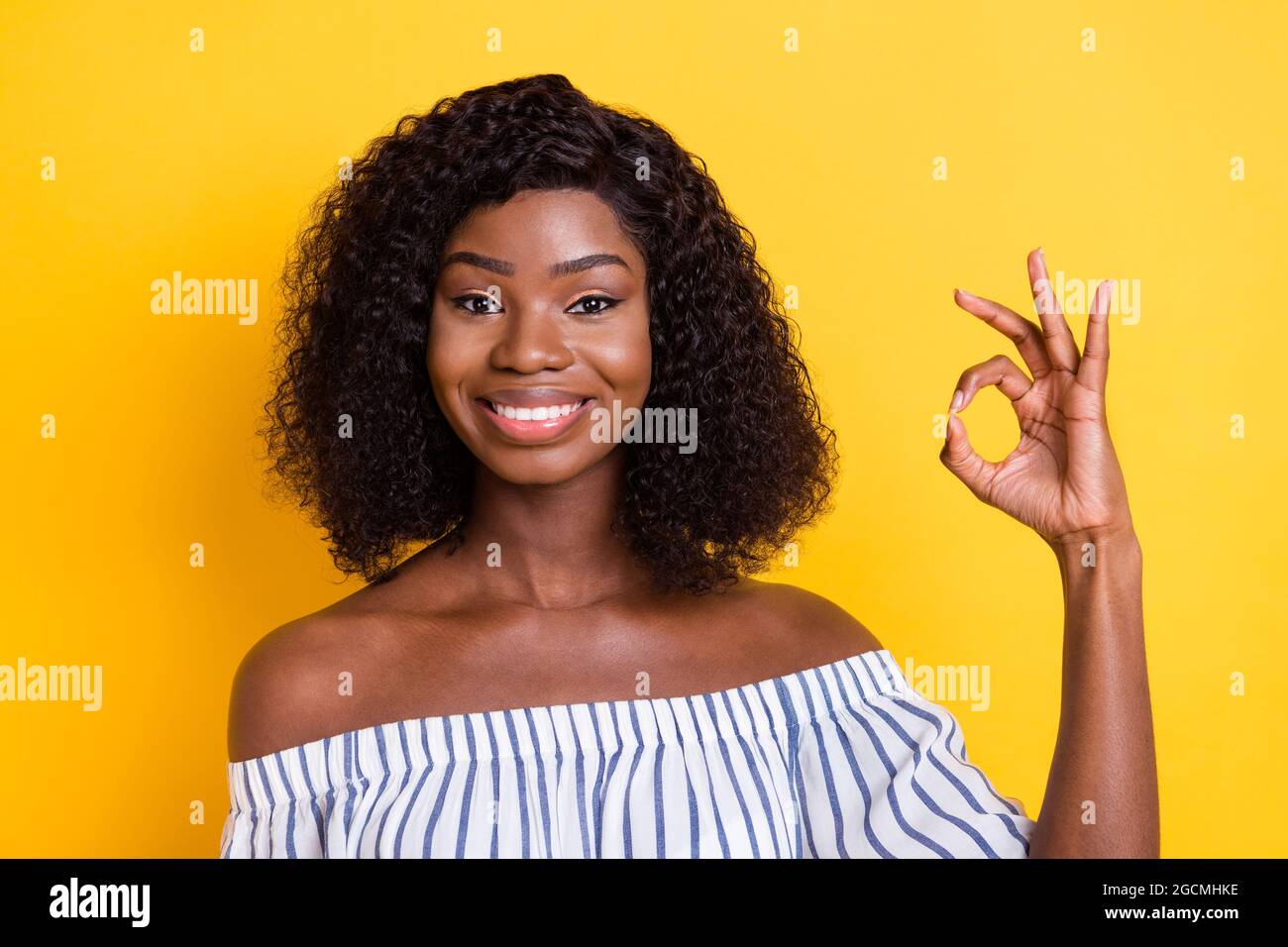 Portrait of attractive cheerful content brunette girl showing ok-sign ...