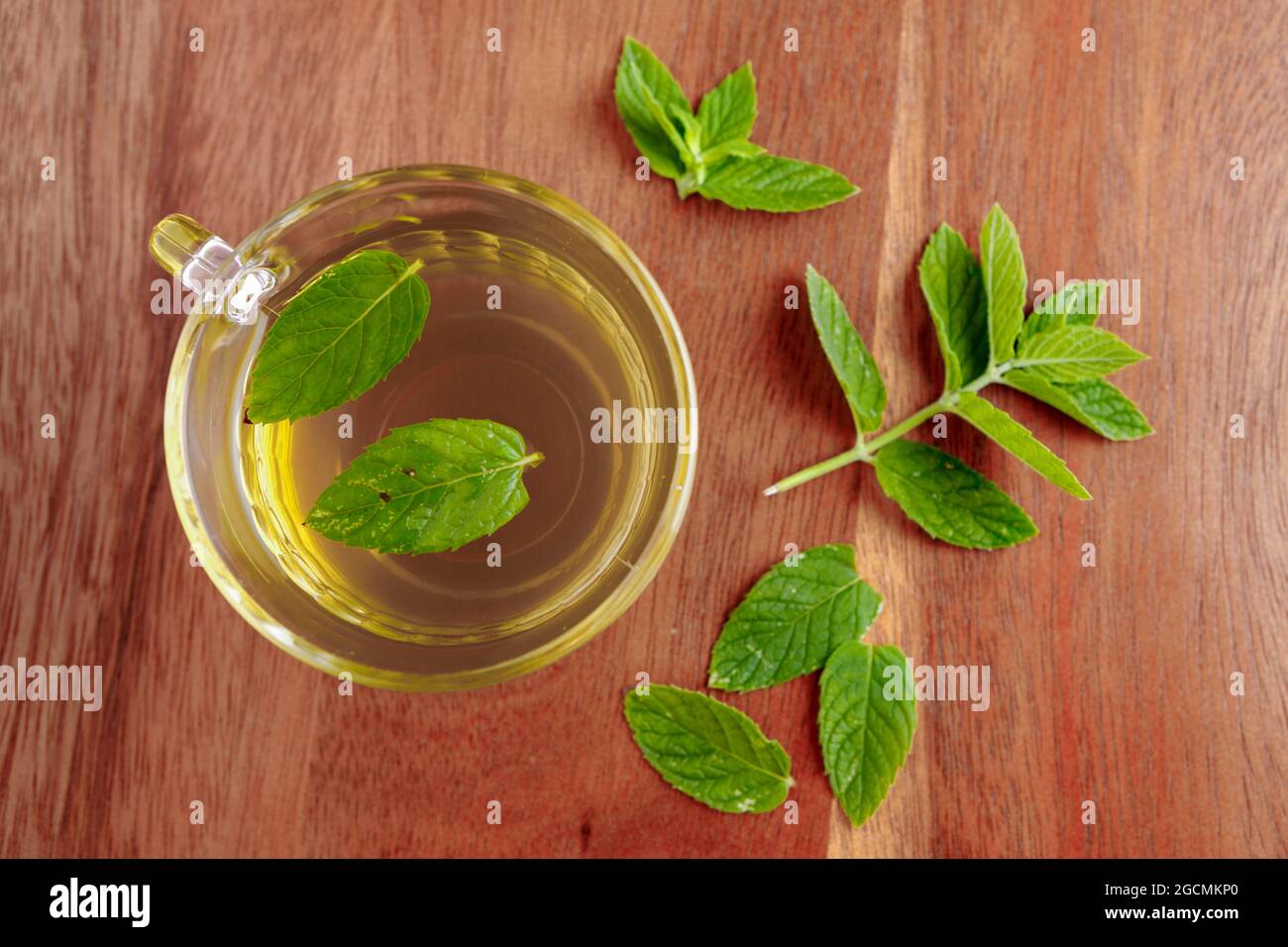 An overview of a glass mug of peppermint tea and fresh peppermint ...
