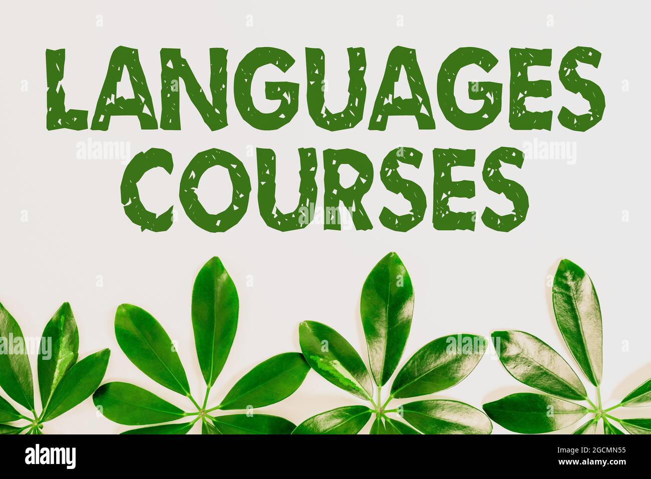 Presentation classroom languages hi-res stock photography and images ...
