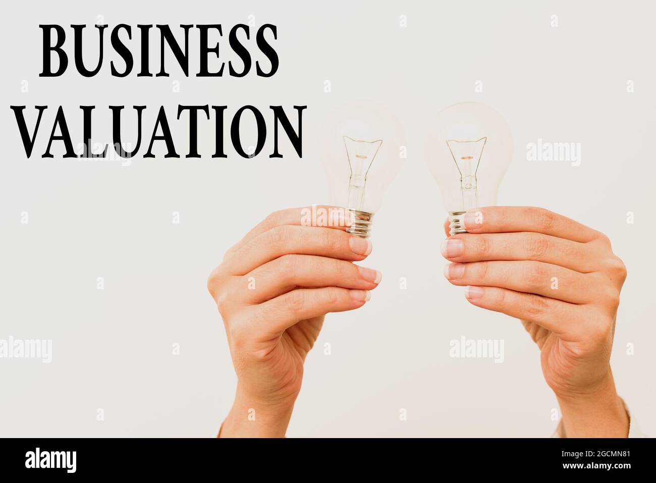 Text showing inspiration Business Valuation. Word for determining the ...