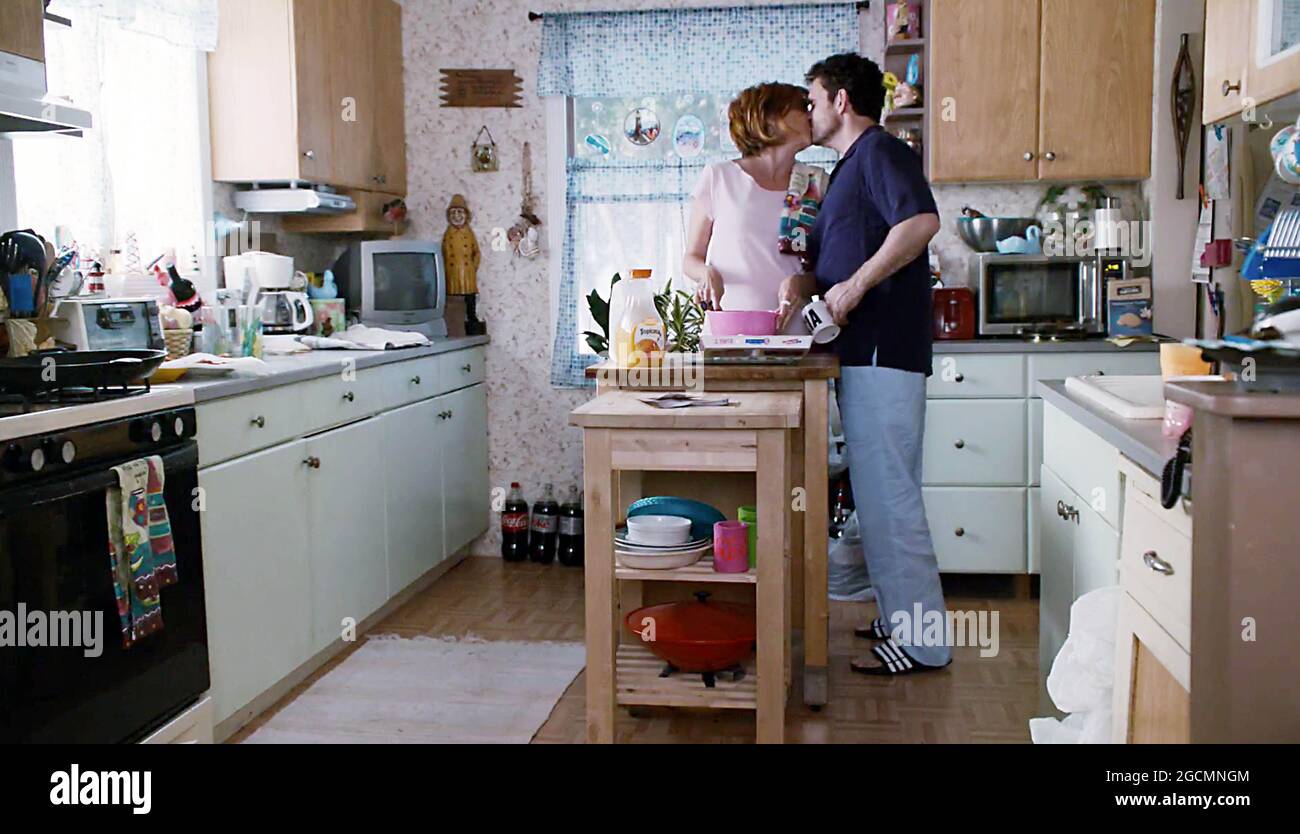 Girl Most Likely Matt Dillon