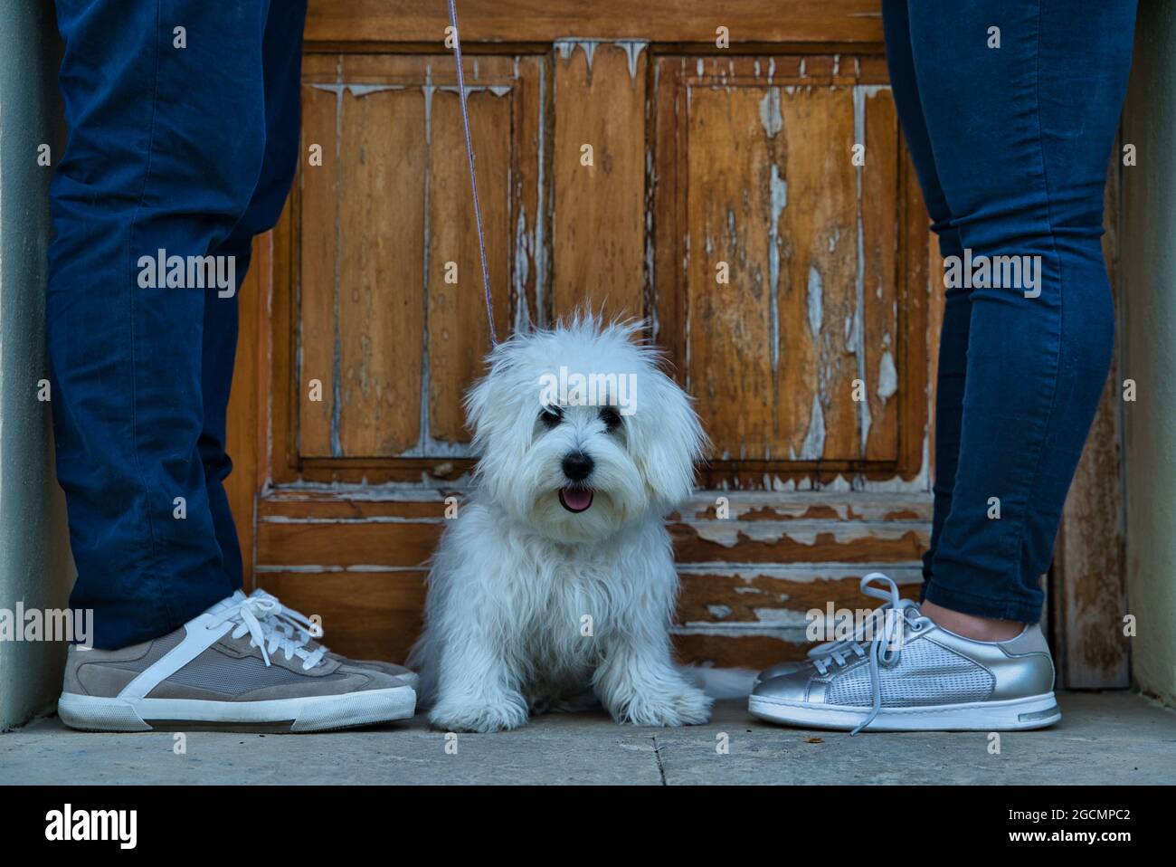 Friendship between dog and man hi-res stock photography and images - Alamy