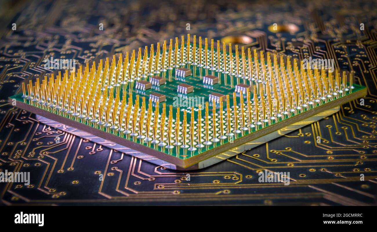 close-up of computer central processor unit with golden pins on ...