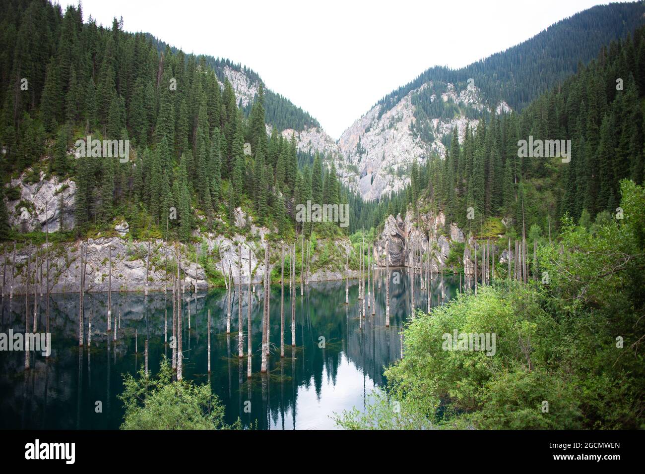 Kaindy Lake in Tien Shan mountain, Kazakhstan Stock Photo - Alamy