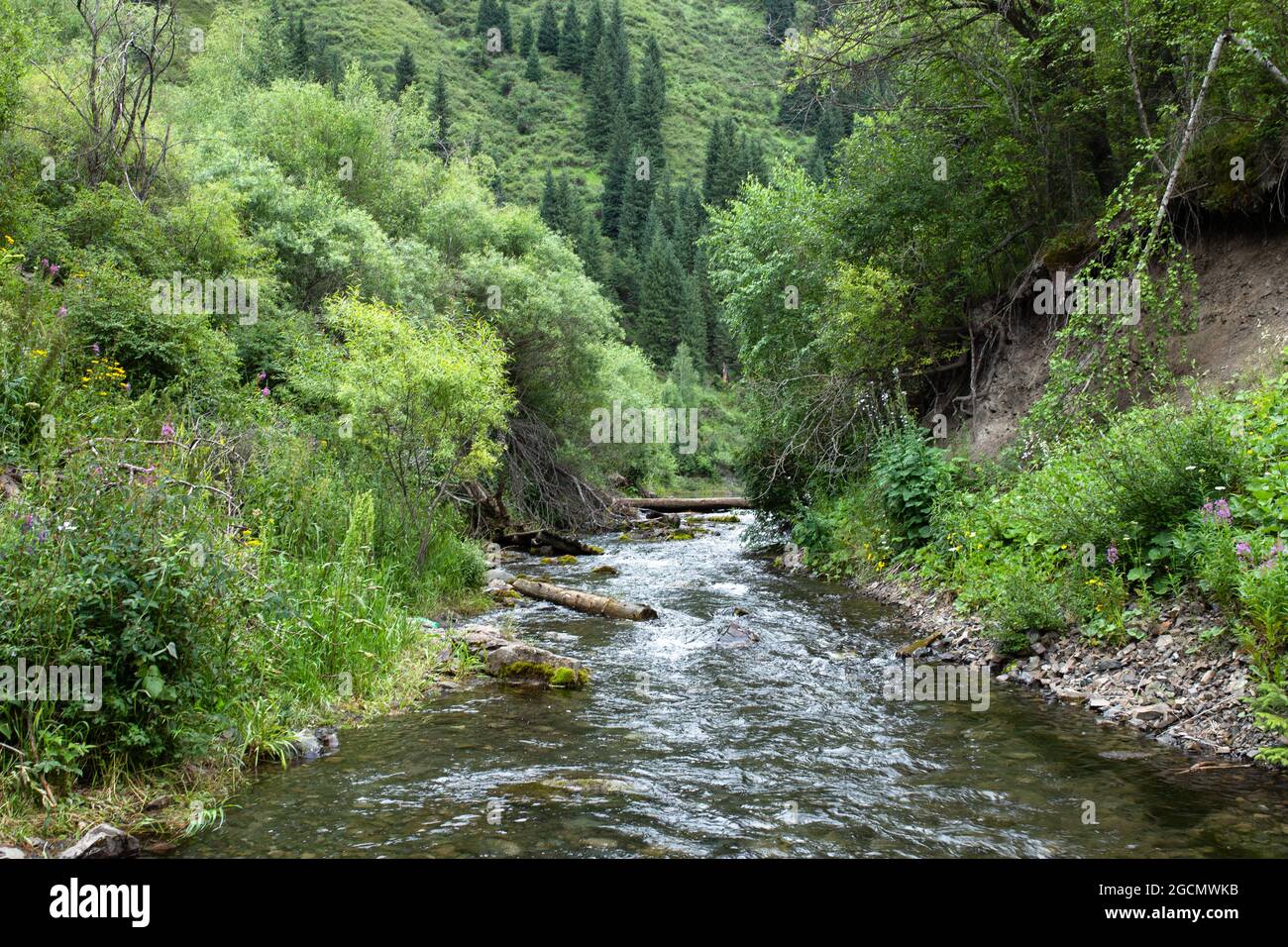 Beautiful waterfall in mountains among hi-res stock photography and ...