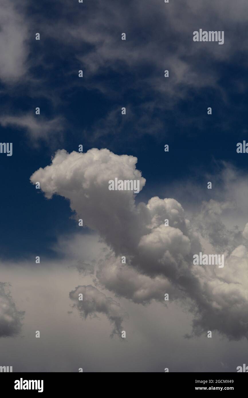 Cumulus clouds float high in the sky over New Mexico in the American ...