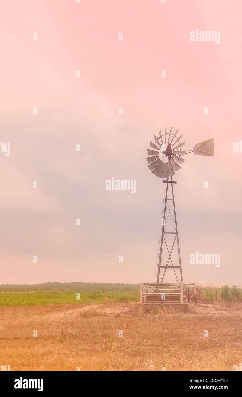 A windmill stands on a farm along Highway 50, July 7, 2011, in West ...