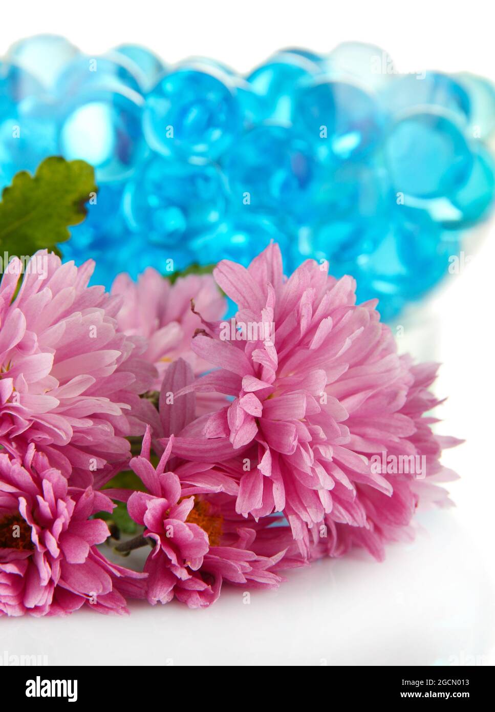 Beautiful flowers with hydrogel isolated on white Stock Photo - Alamy