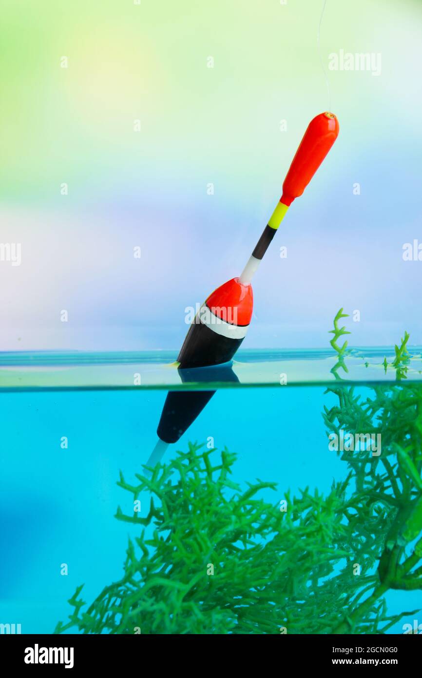 Fishing float in water on natural background Stock Photo - Alamy