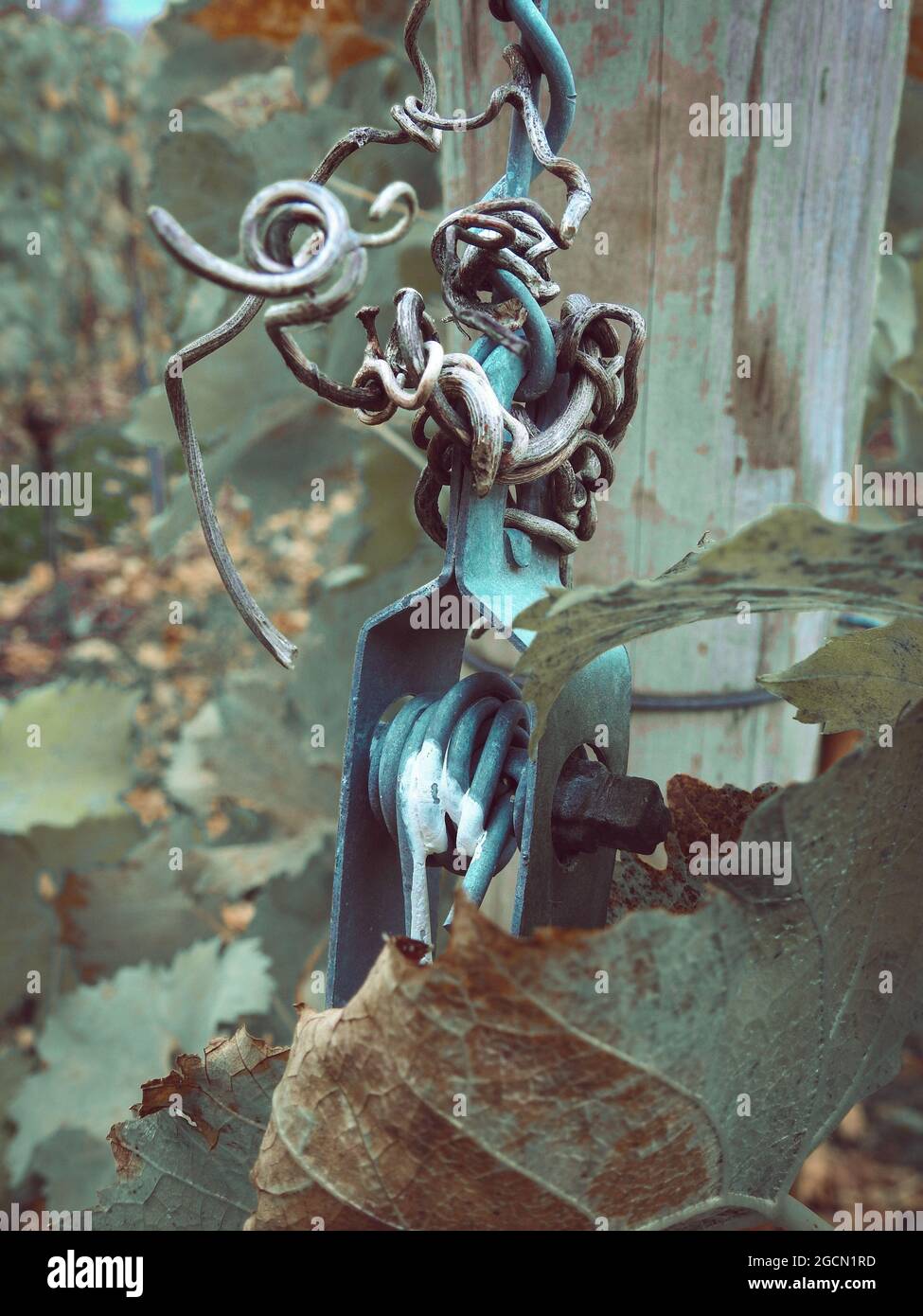 Shallow focus closeup shot of steel fence components of the garden ...