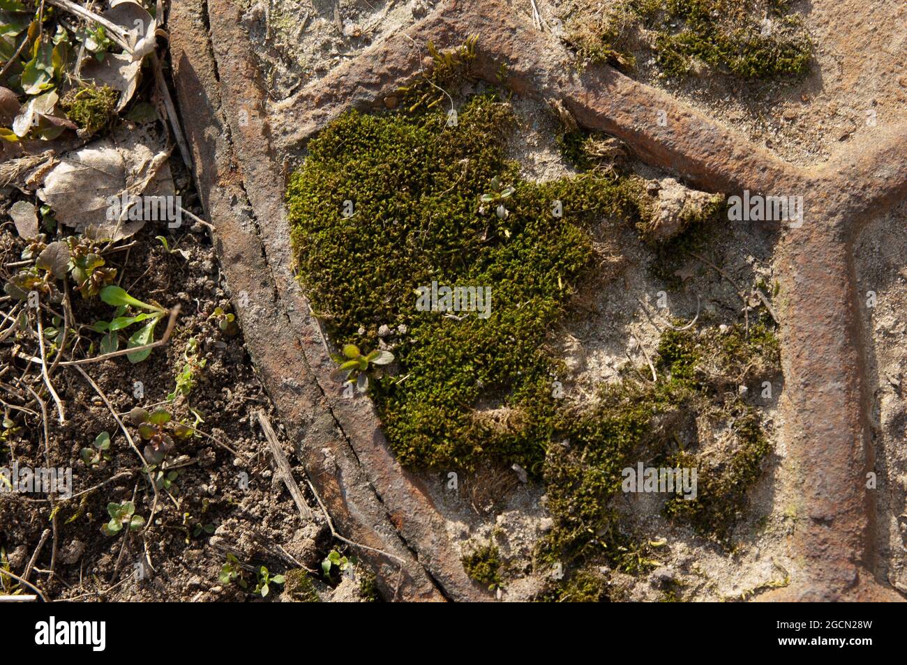 Grass covered drain hi-res stock photography and images - Alamy