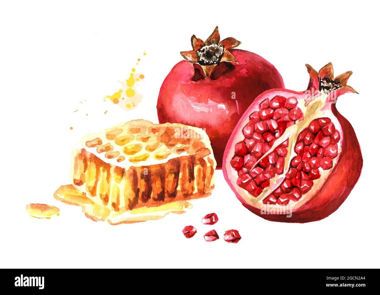 Jewish Pomegranate Art