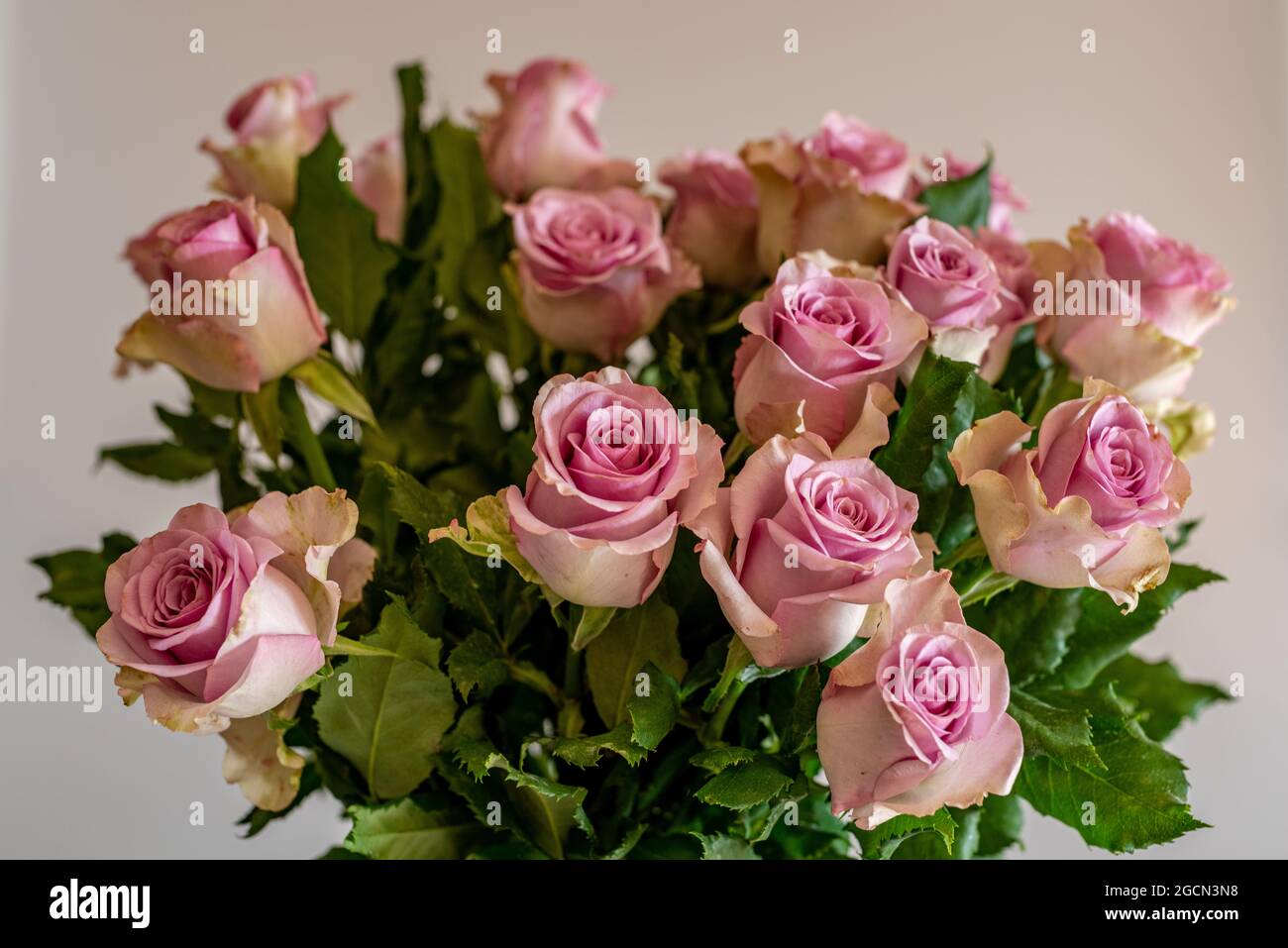pink roses bouquet Stock Photo - Alamy
