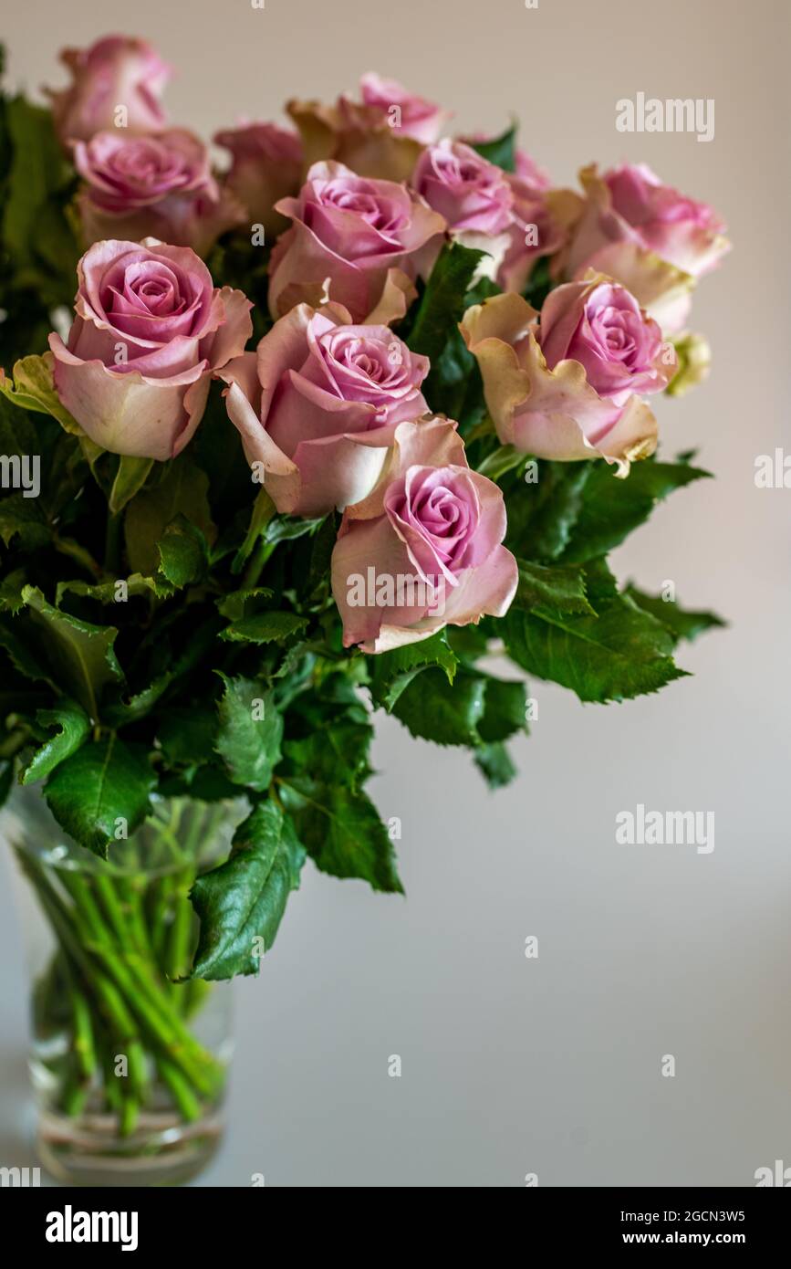 bouquet of pink roses Stock Photo - Alamy