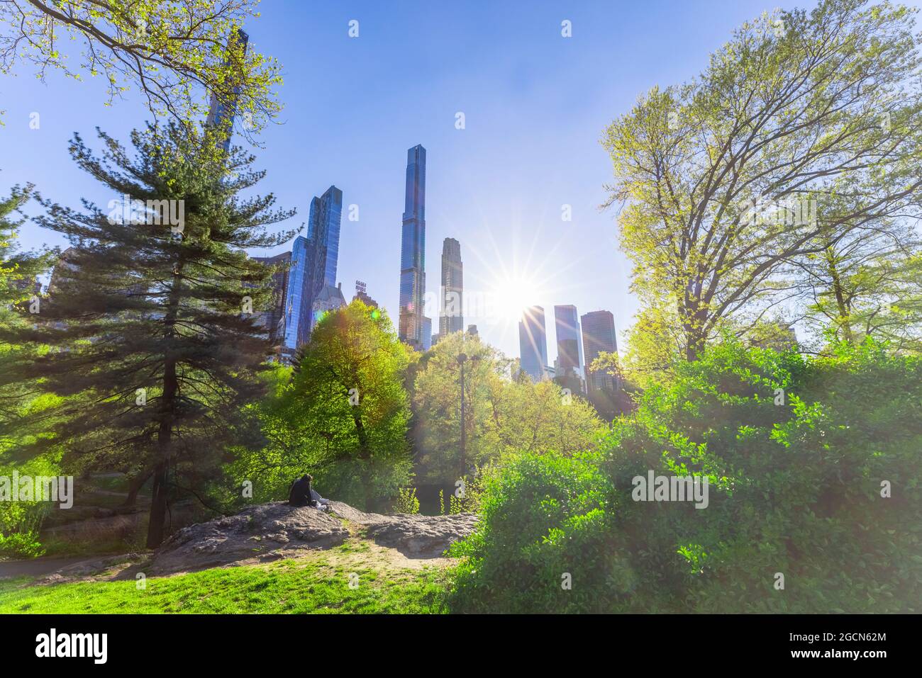 Fresh green trees grow in Central Park at front of Manhattan skyscraper ...