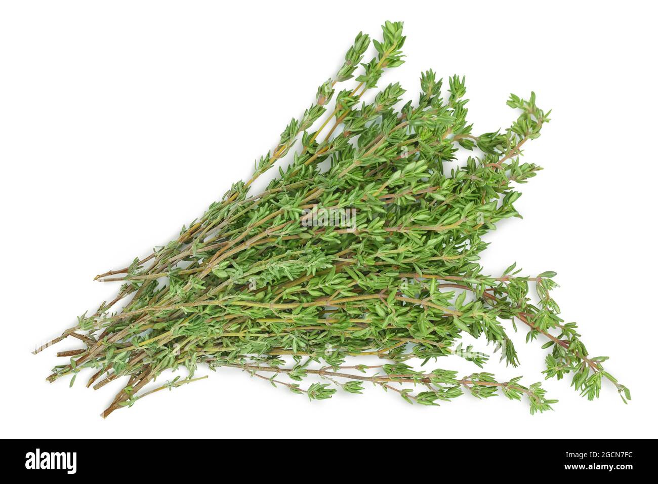 fresh thyme isolated on a white background with clipping path and full ...