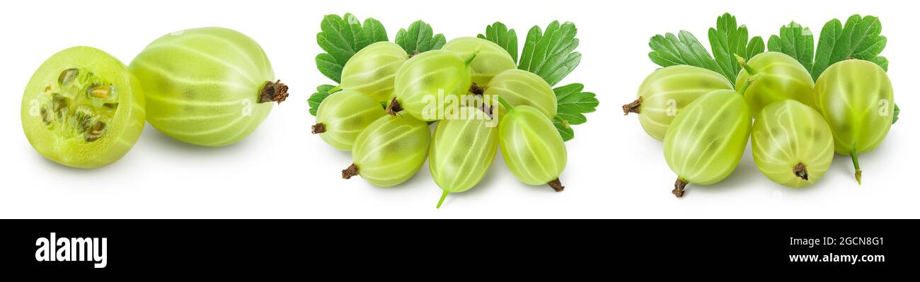Green gooseberry isolated on white background. Set or collection Stock ...