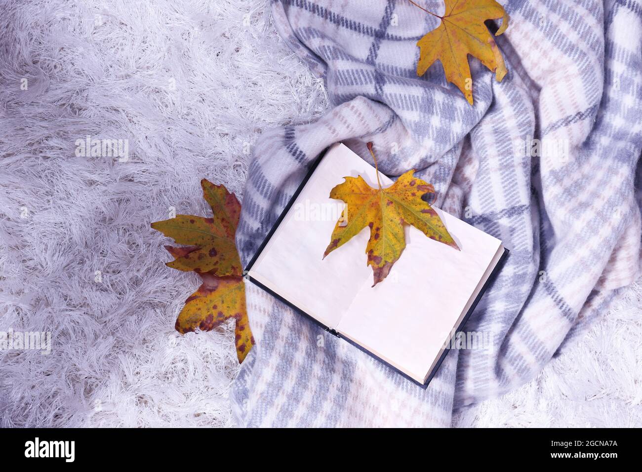 Composition with warm plaid, book, on color carpet background Stock ...