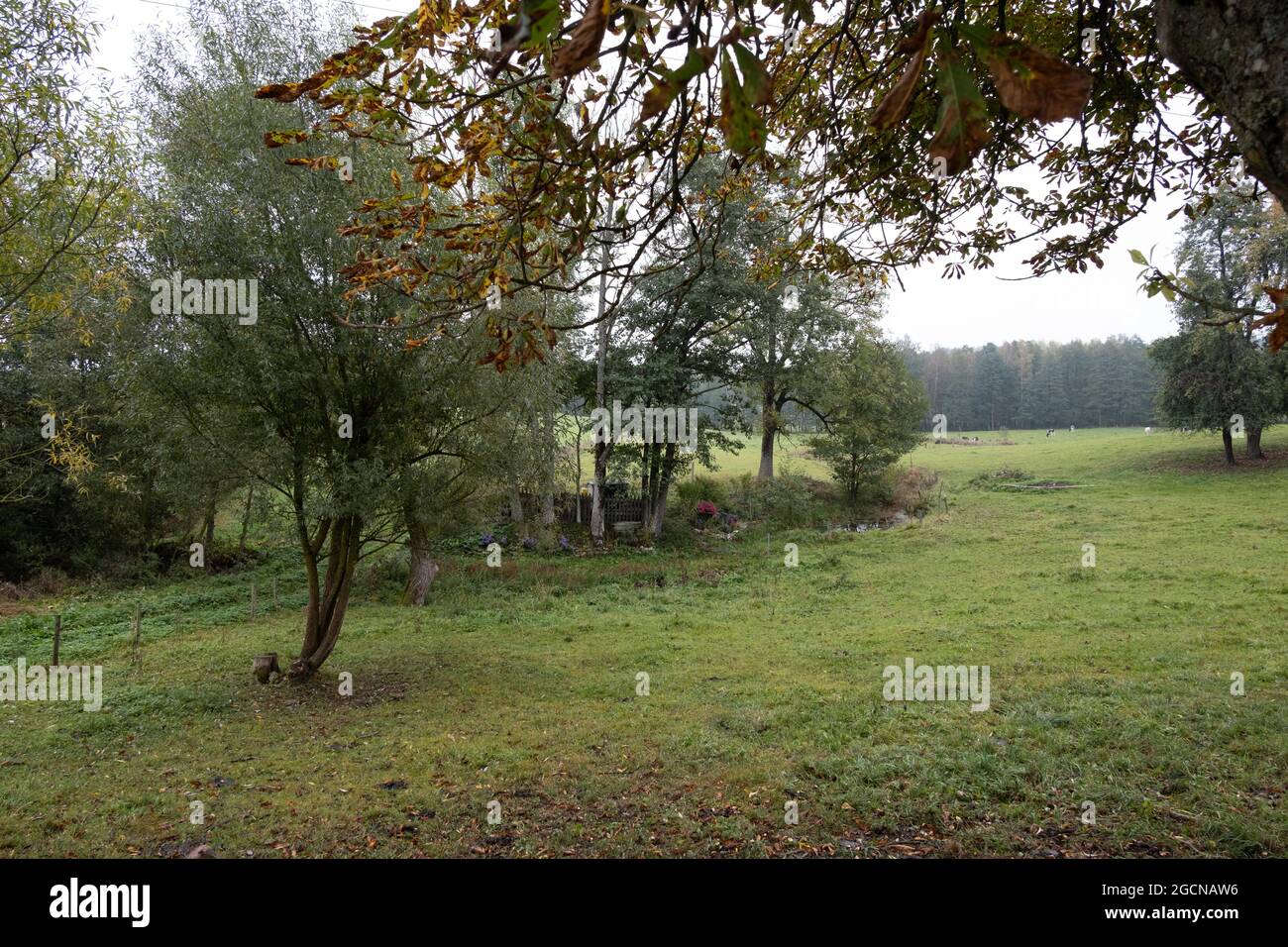 Poland, Podlasie- 11 October 2020: Podlasie landscape Stock Photo - Alamy