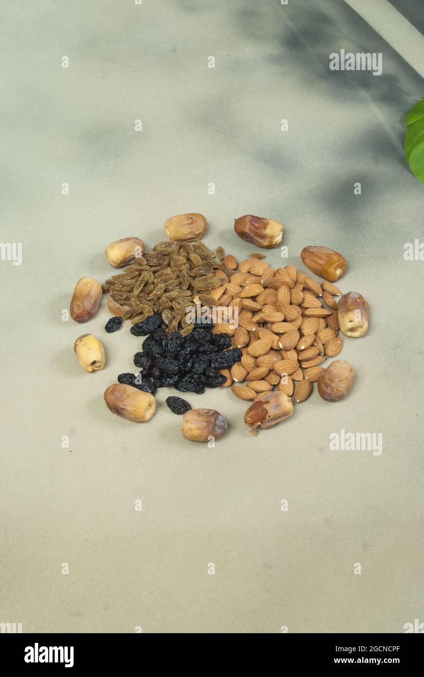 mix dry fruits nuts around dates isolated almonds black and brown ...
