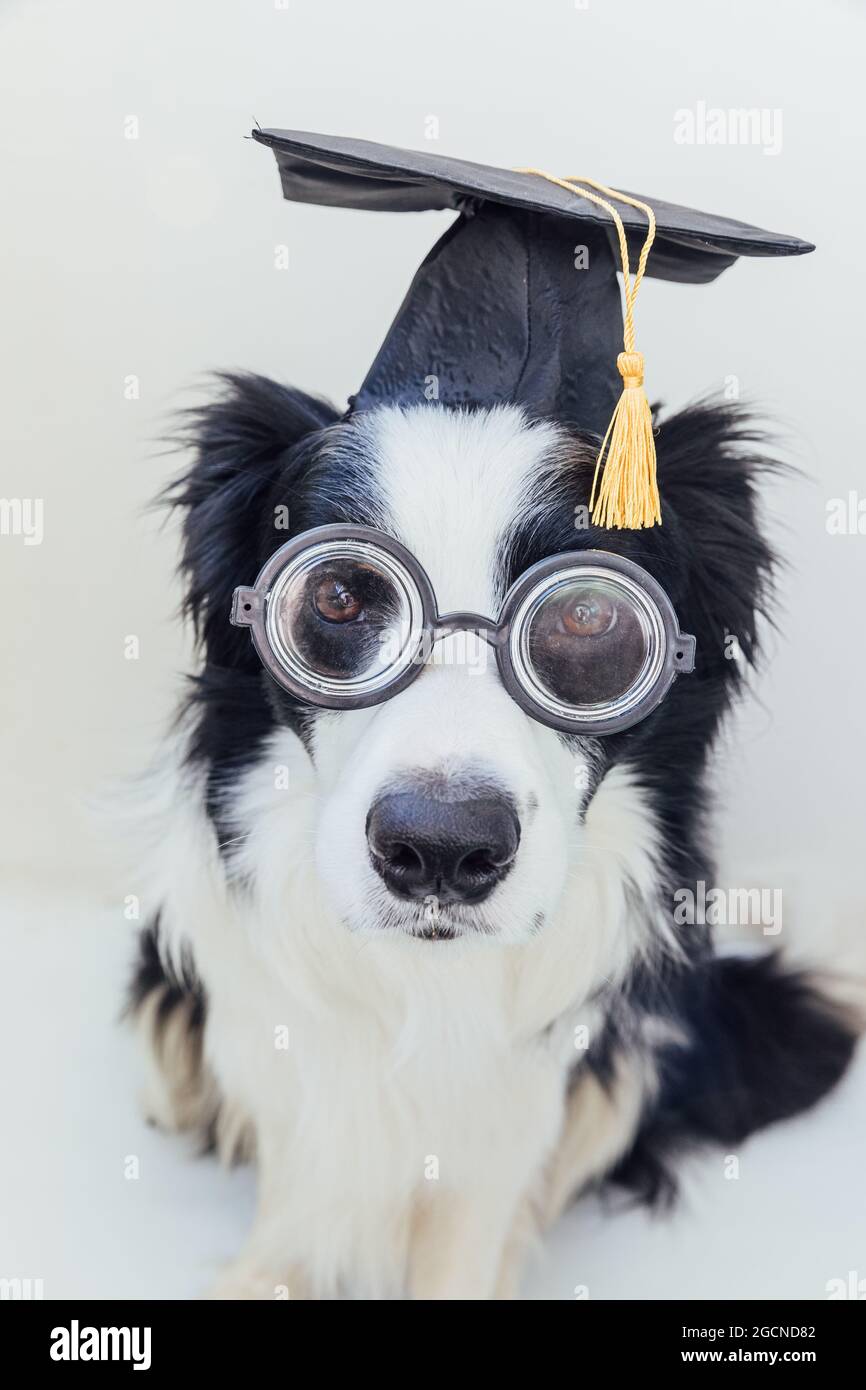 Grad student teach class hi-res stock photography and images - Alamy