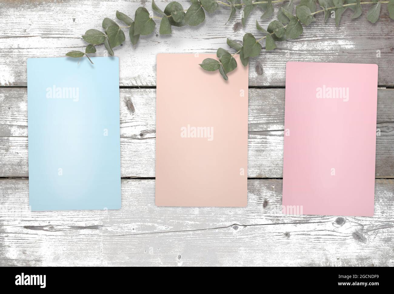three blank pastel colored cards on weathered wooden background with ...