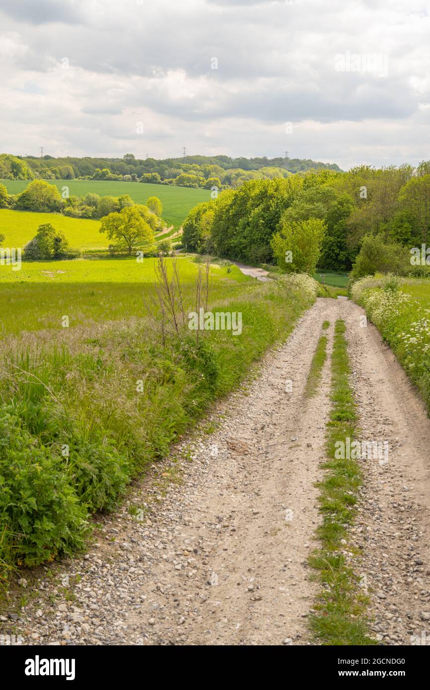 Rural Lane near Cobham Kent, a village near Gravesend Kent Stock Photo ...