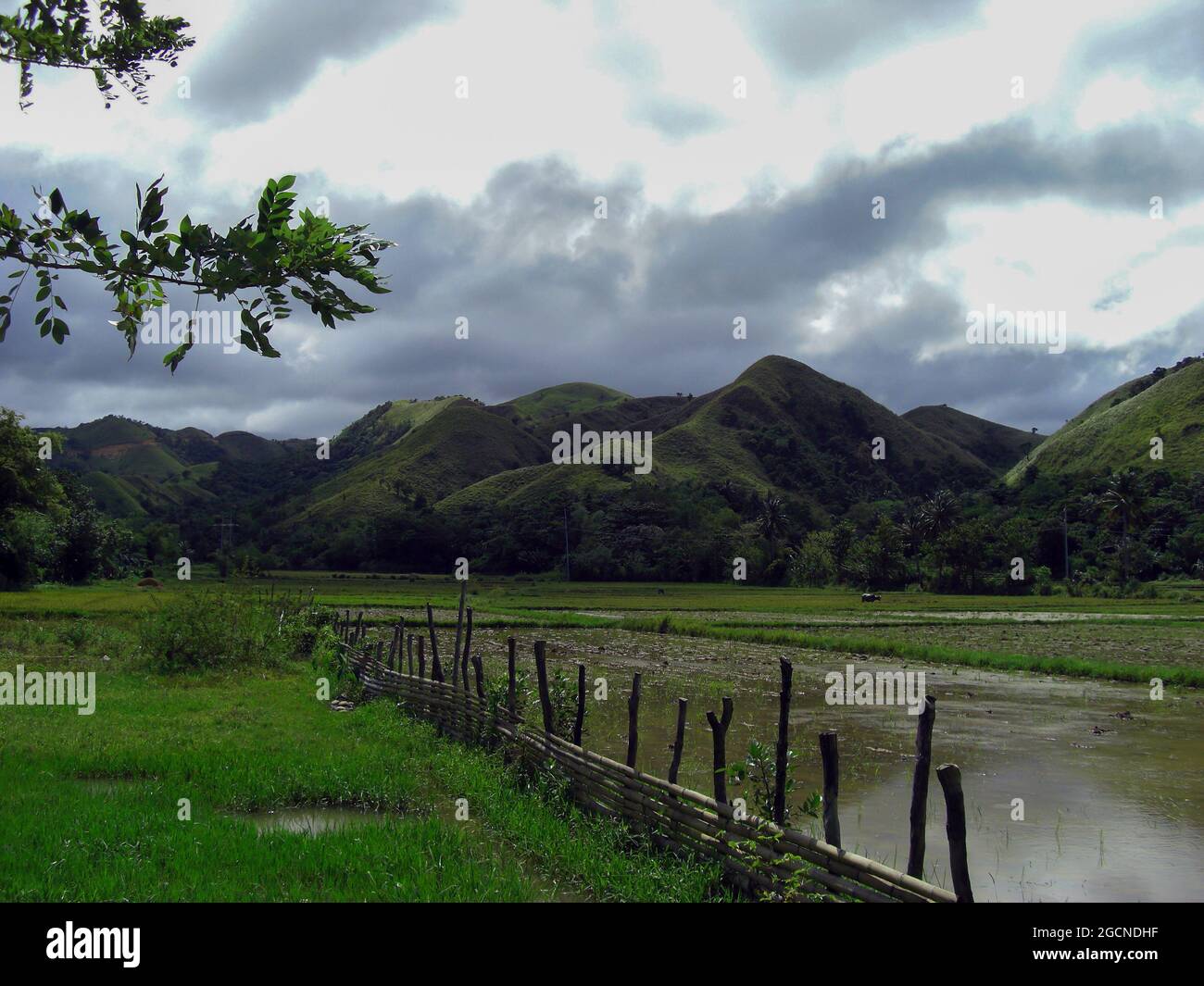 Landscape scenery from Negros island on the Philippines 5.11.2013 Stock ...