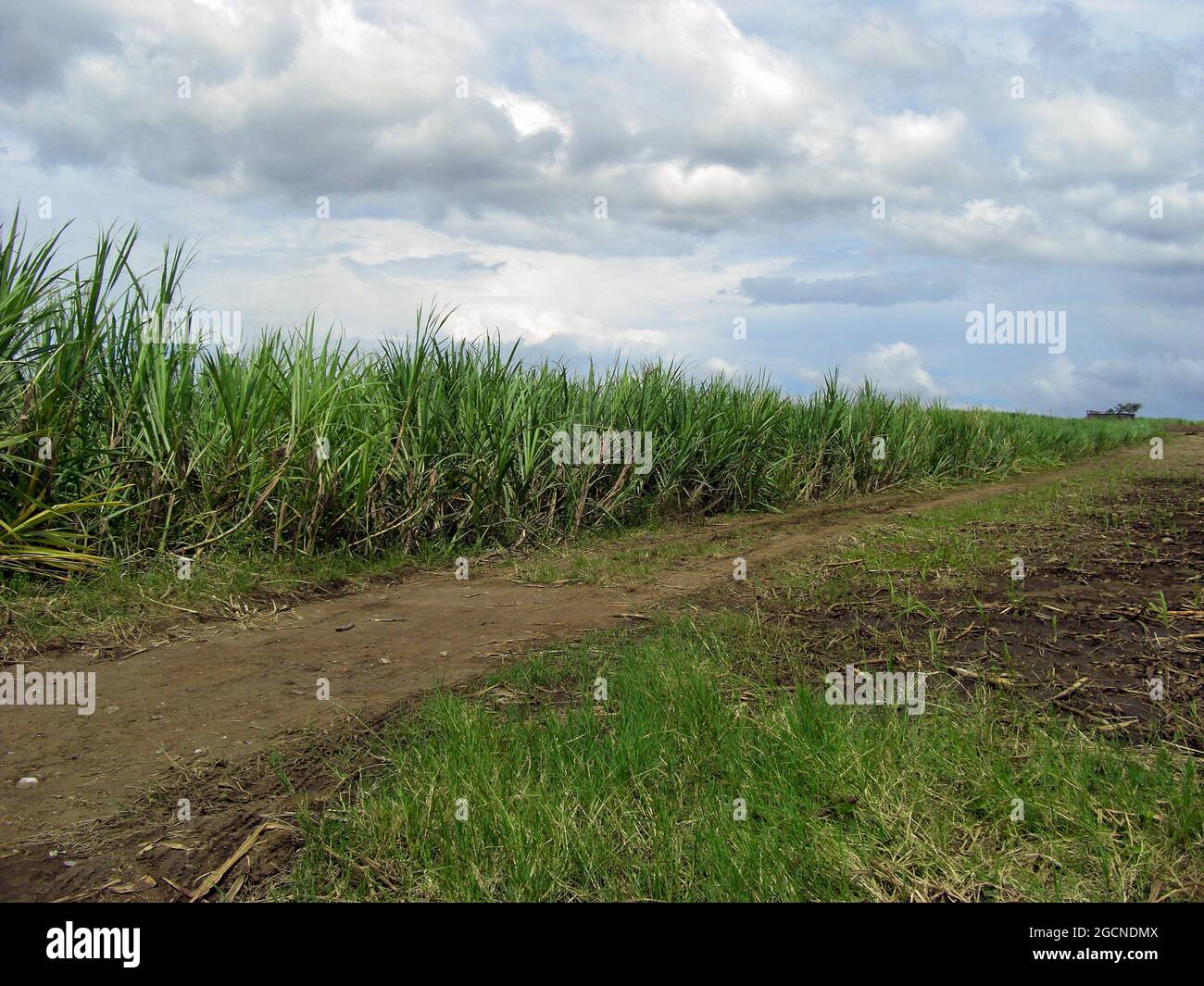 Landscape scenery from Negros island on the Philippines 10.11.2013 ...