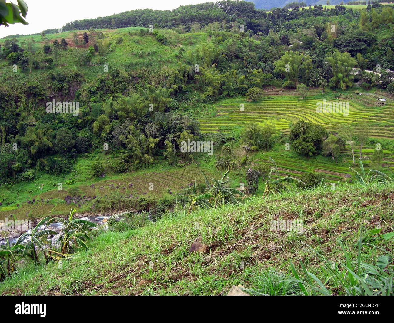 Landscape panorama in the island Negros on the Philippines 10.11.2013 ...