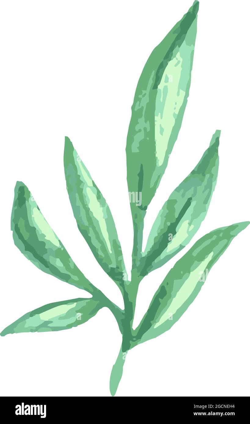 Blue watercolor leves for logo or wedding invitations Stock Vector ...