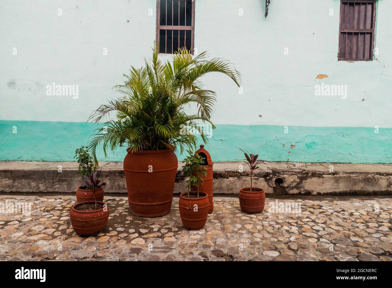 Decorative plants at a cobbled street in Sancti Spiritus, Cuba Stock ...
