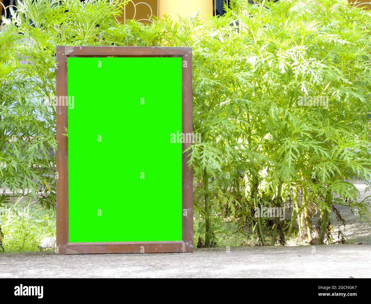 Pavement sign with green slate on the background of trees Stock Photo ...