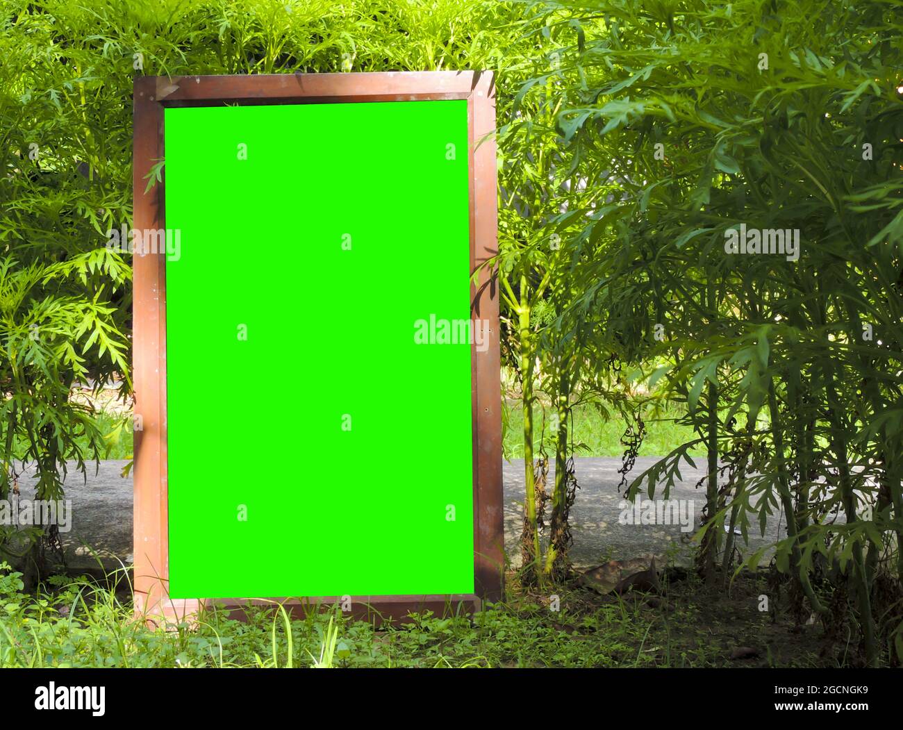Pavement sign with green slate on the background of trees Stock Photo ...