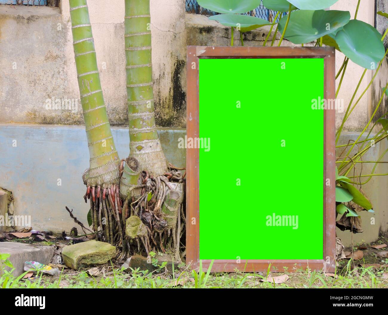 Pavement sign with green slate on the background of trees Stock Photo ...