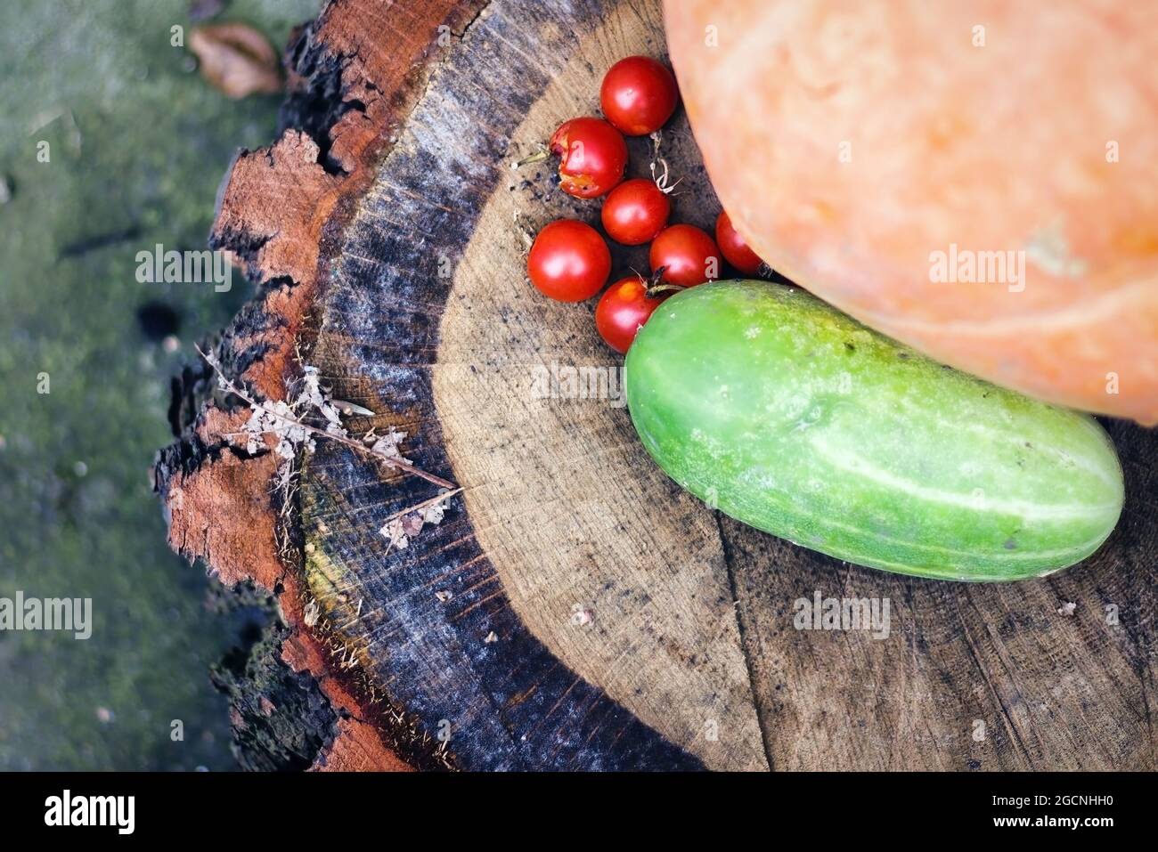Mix of different vegetable on a wooden log such as, cucumber, pumpkin ...