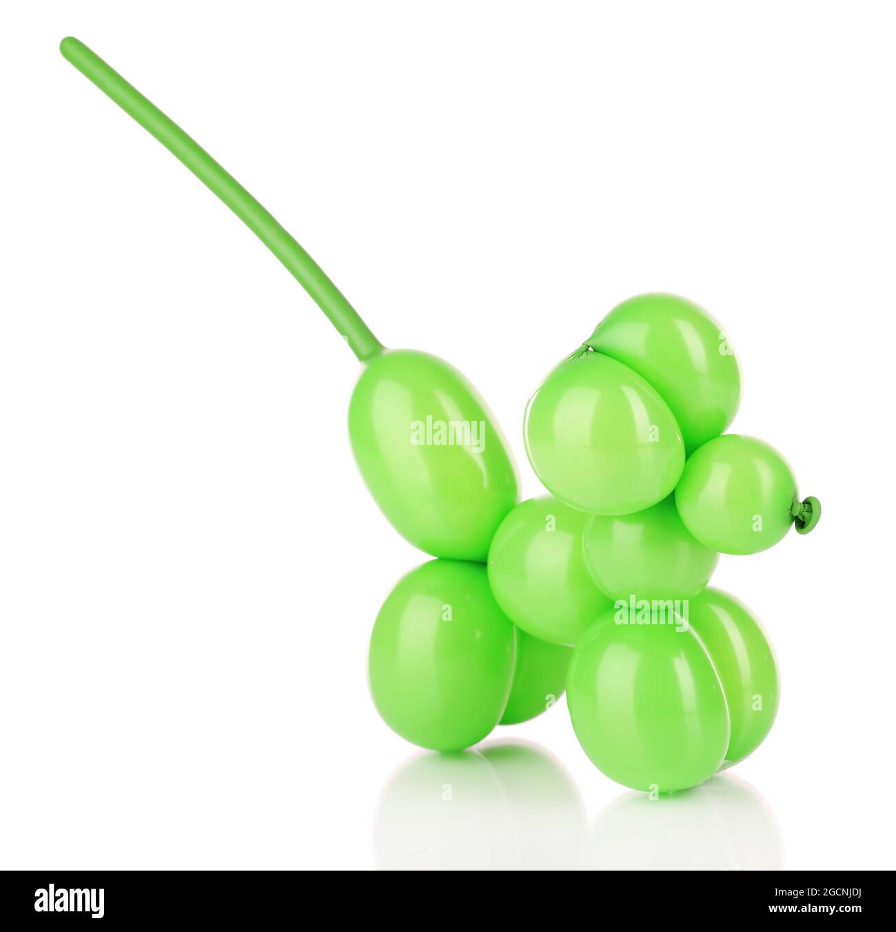 Balloon model dog hi-res stock photography and images - Alamy