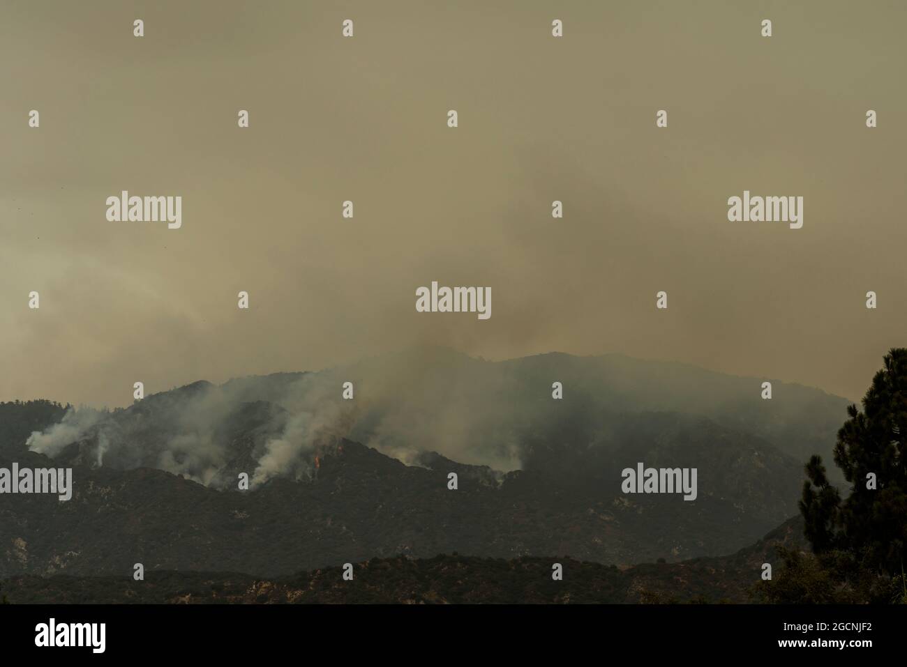 Bobcat Fire, Monrovia, California, USA, 2020 Stock Photo - Alamy