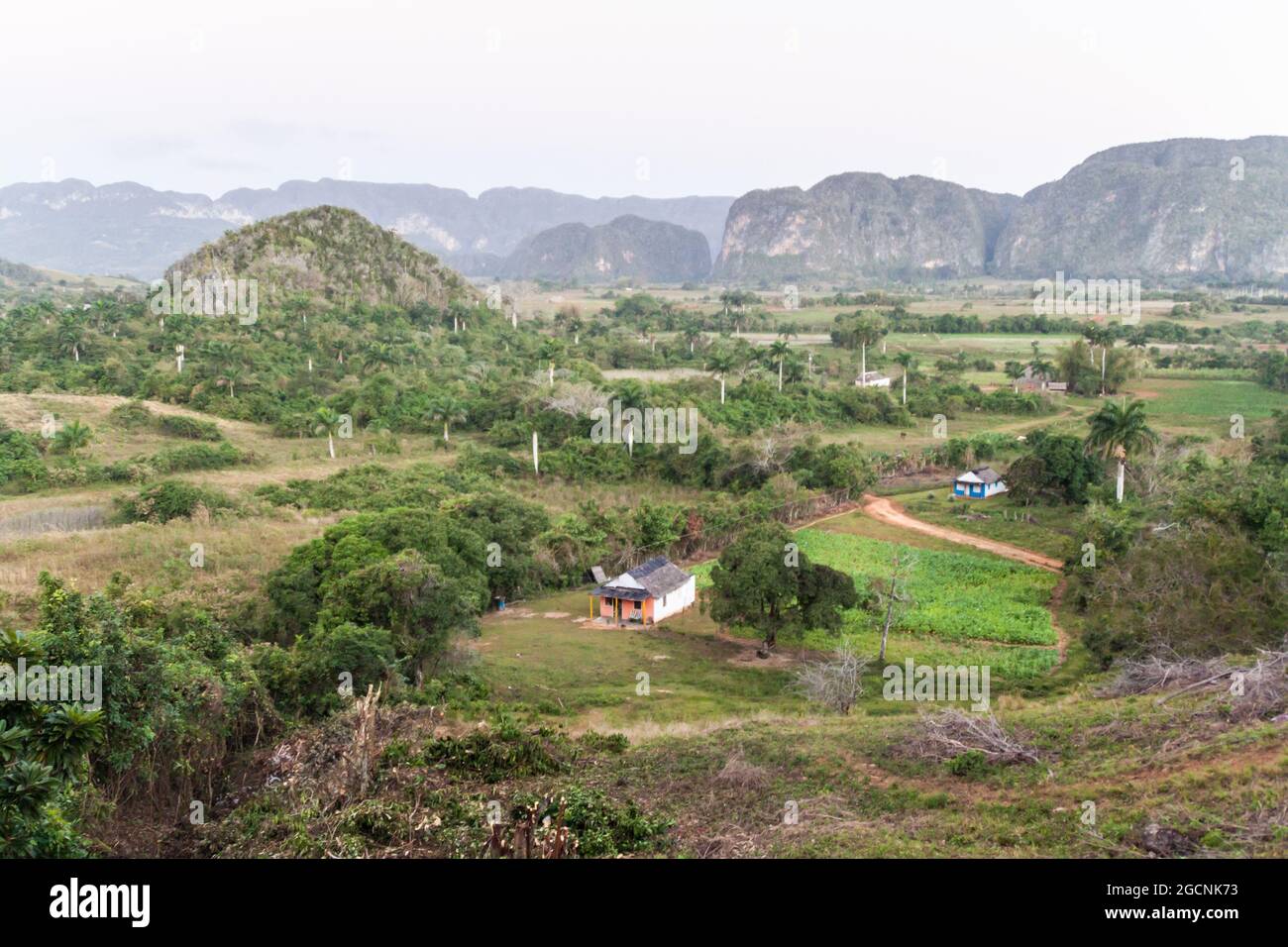Morning view of Vinales valley with mogotes limestone hills , Cuba ...