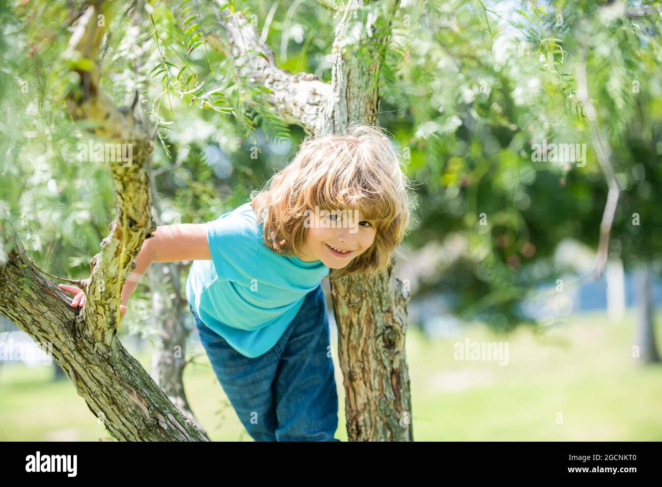 Climbing trees is always fun. Active boy child climb tree. Childhood ...
