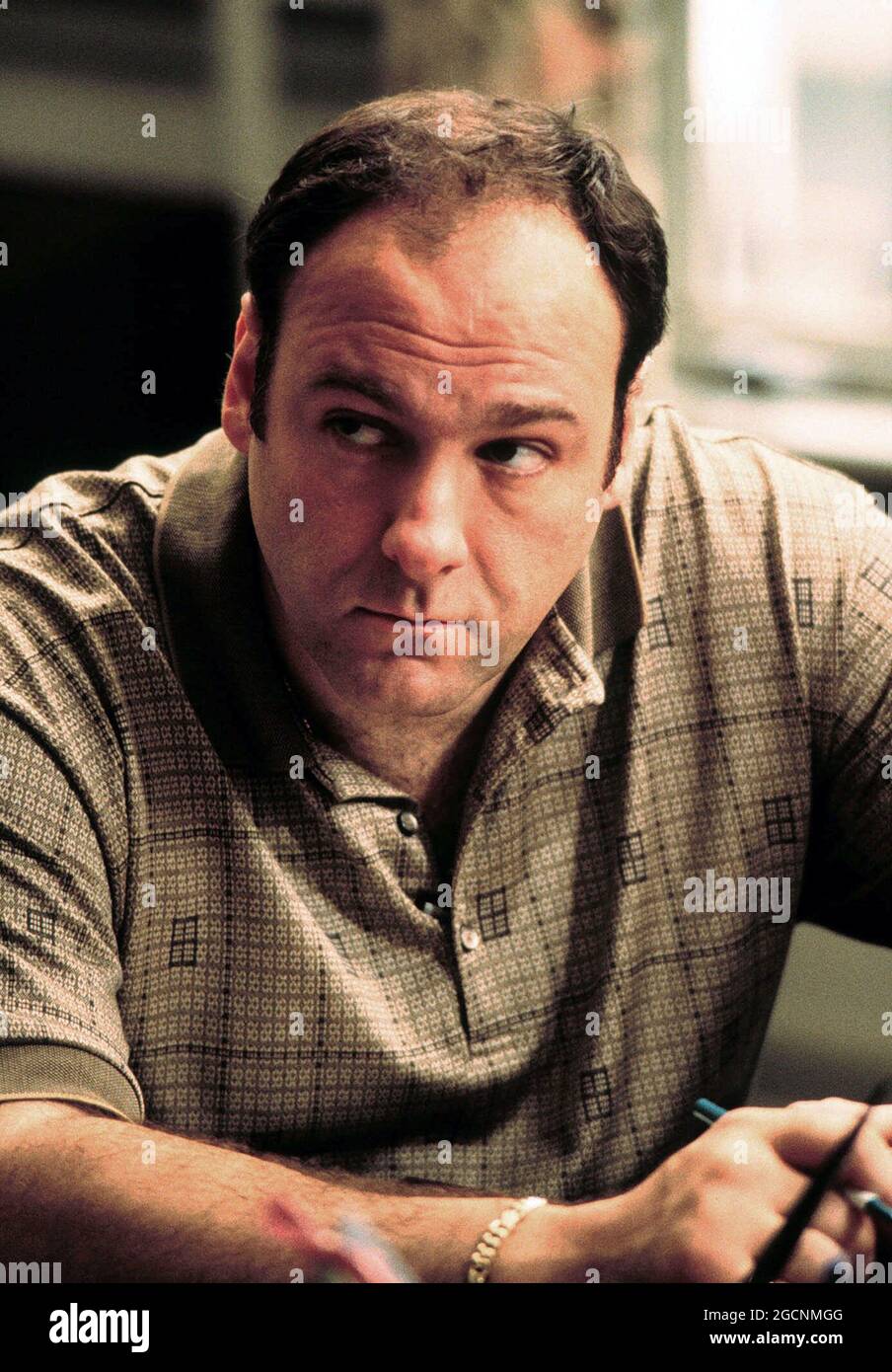 James Gandolfini Kropp James Gandolfini's Tony Soprano Returns In