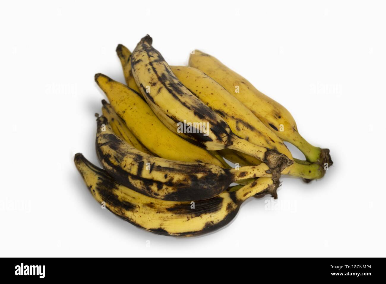 Kerala Ripen Ethapazham Or Plantain Banana. Also Known As Nenthra ...