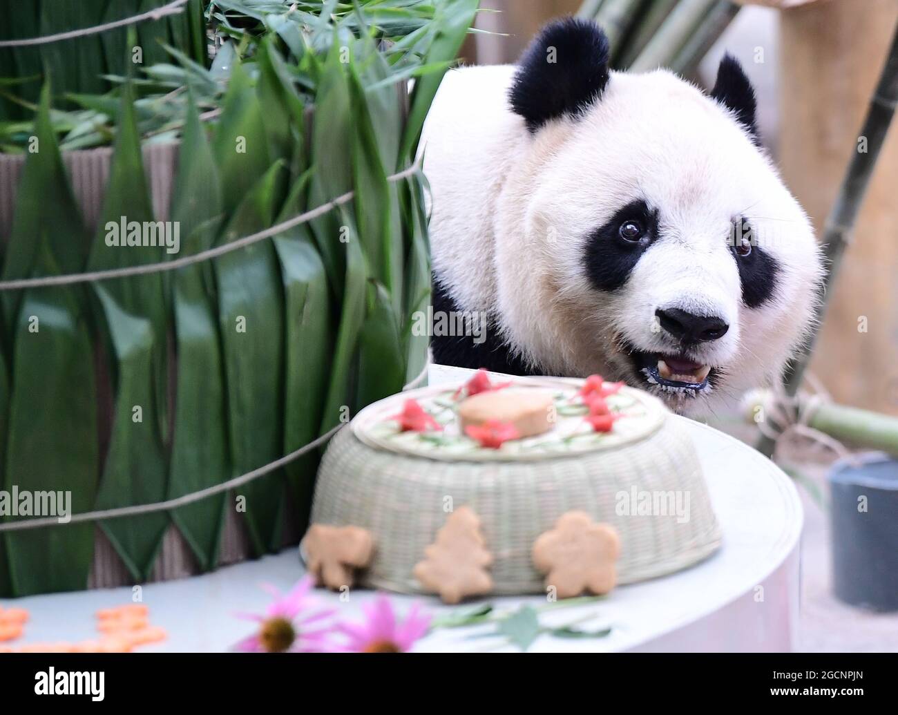 Panda Birthday Cake Ideas