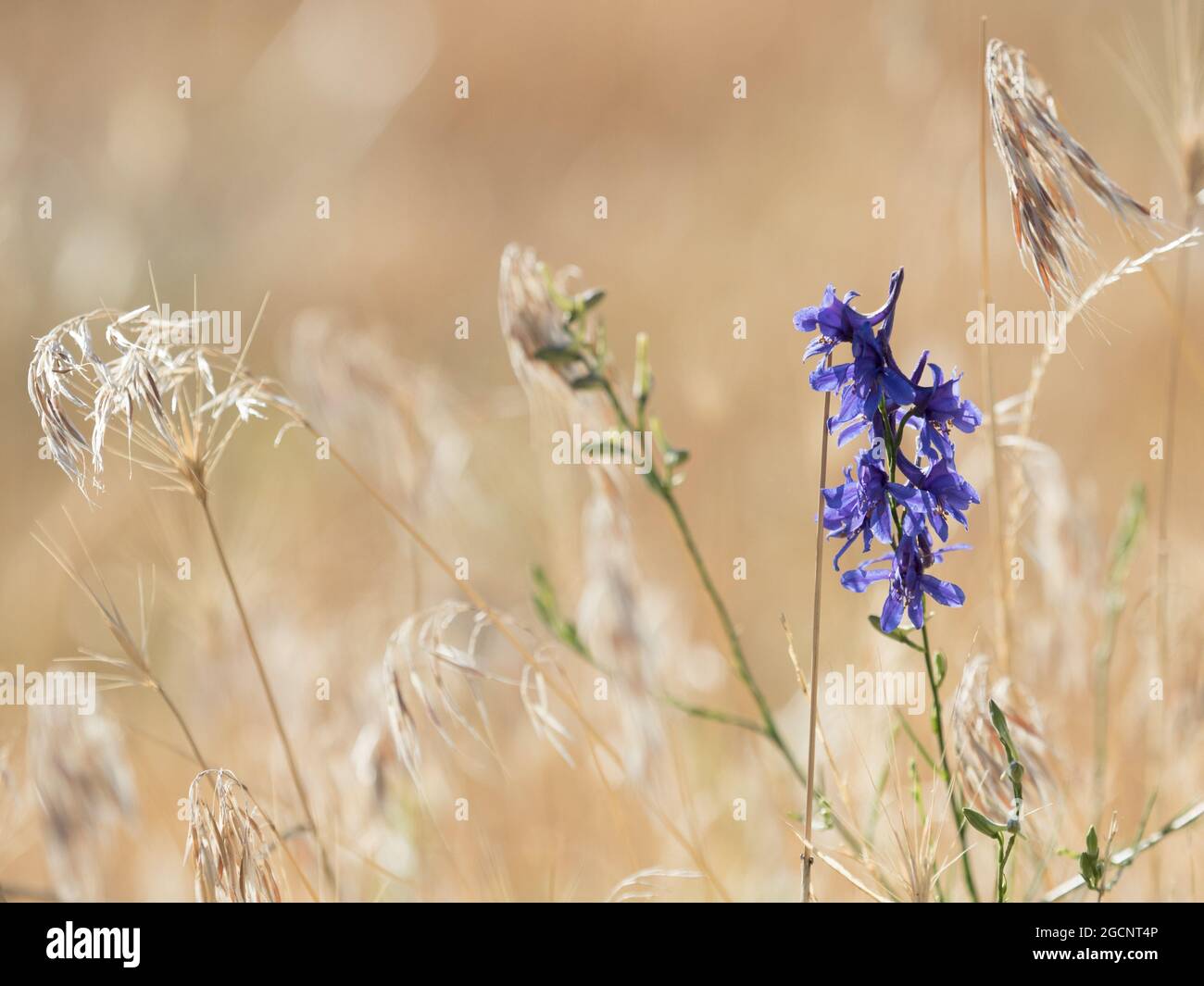 Shades highlighting hi-res stock photography and images - Alamy