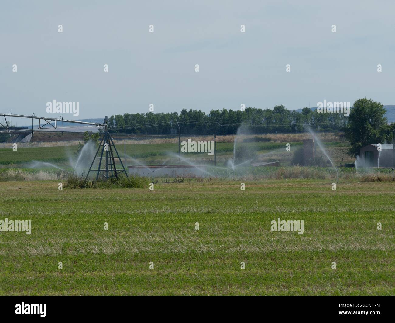 water sprinklers watering different plantations Stock Photo - Alamy