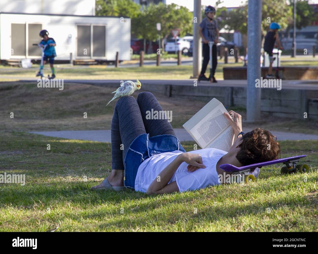 Lady bird book hi-res stock photography and images - Alamy