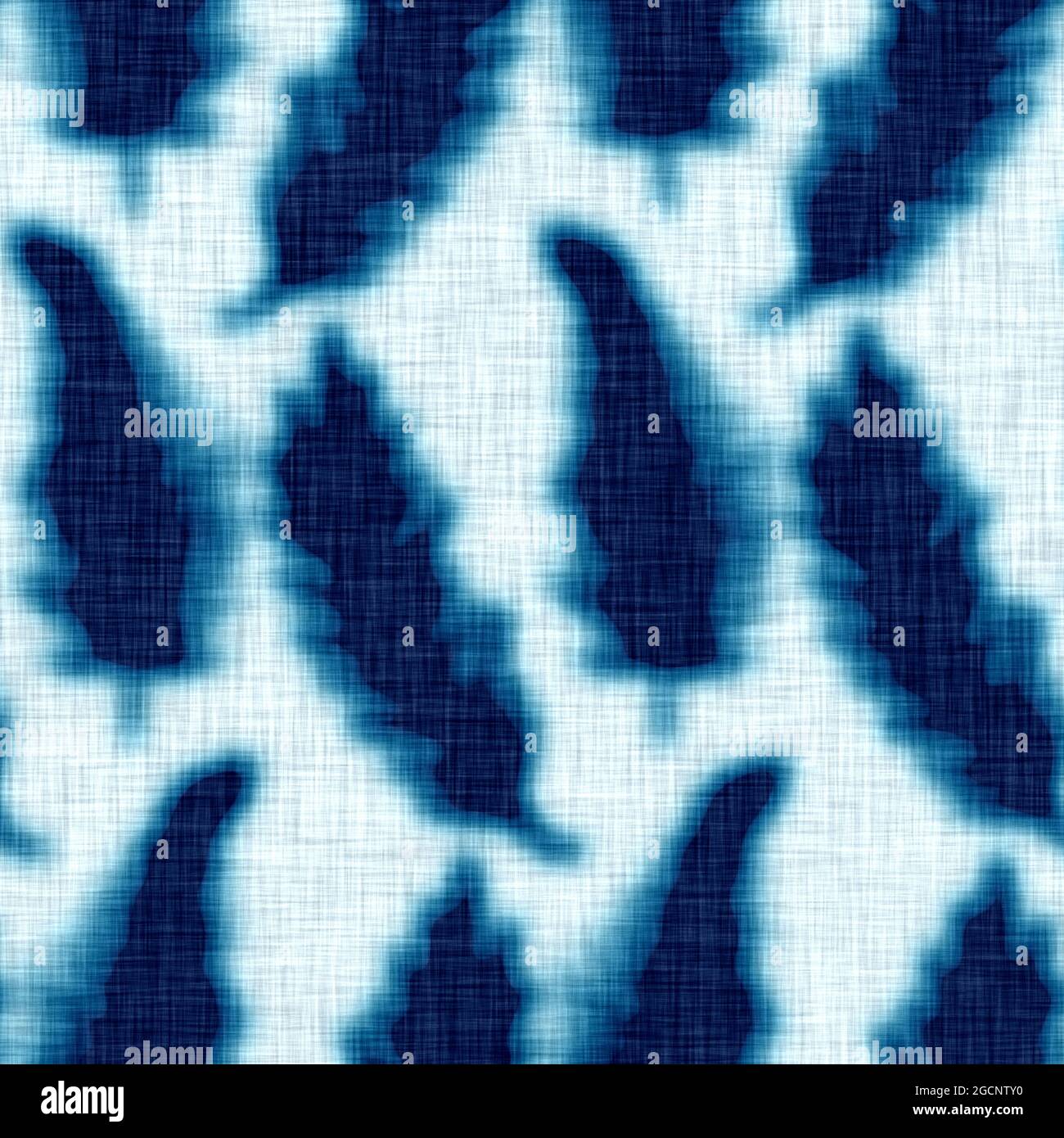 Cyanotypes blue white botanical linen texture. Faux photographic leaf ...