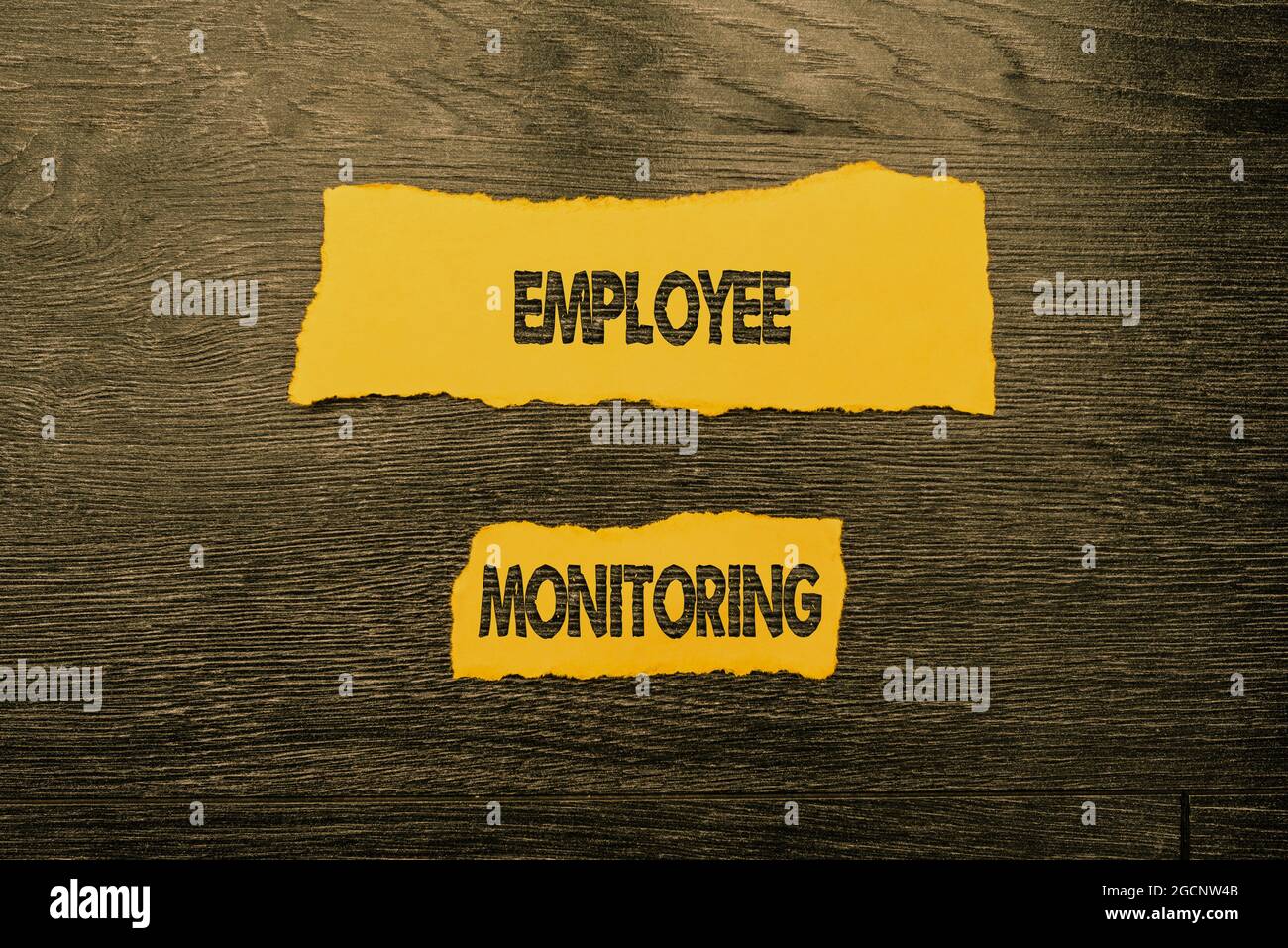 Conceptual display Employee Monitoring. Business approach collecting ...