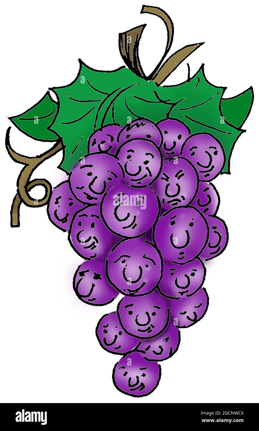 Purple Grape Group Stock Photo - Alamy